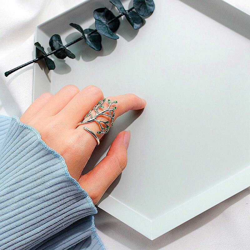 Astring – Naturschoen